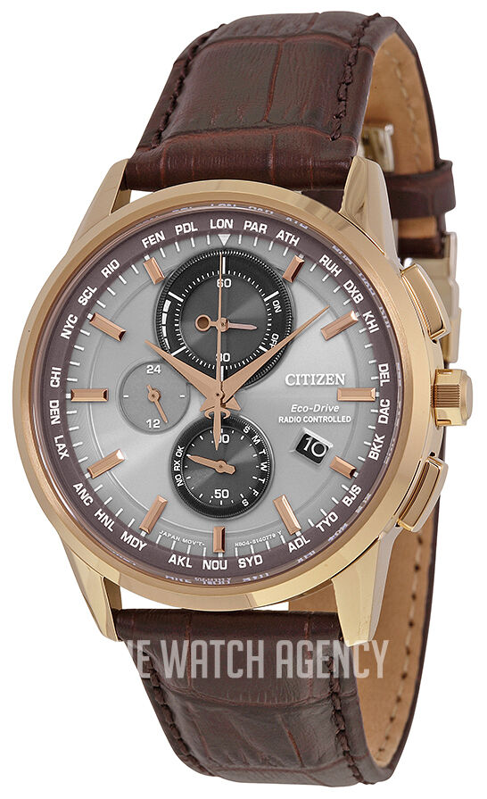 AT8113-04H Citizen Perpetual Calendar | TheWatchAgency.com